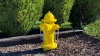 WaterMaster® Fire Hydrants | EJ