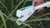 LI-600 Porometer/Fluorometer | LI-COR Environmental