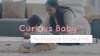 Curious Baby™ Official Site – Curious Baby Cards