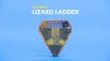 ZOO MED Lizard Ladder - Chewy.com