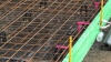 Con-Form FibreForm Shed Slab - Con-Form Formwork Systems