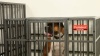 ProSelect Empire Single Door Steel Dog Crate (Free Shipping) | Chewy