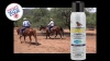 FARNAM Tri-Tec 14 Fly Repellent for Horses, 1-gal bottle - Chewy.com