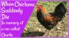 Sudden Death Syndrome: why chickens sometimes die unexpectedly.