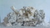 NATURE'S OCEAN Bio-Activ Live Aragonite Saltwater Aquarium Sand, Reef ...