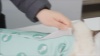 SUPET Self-Adhesive Cat Wrap for Cutting Nails, Star, Medium - Chewy.com