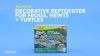 TETRAFAUNA Decorative ReptoFilter for Frogs, Newts & Turtles, 55-gal ...