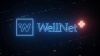 WellNet Healthcare, Uncovering Health Insurers Profits