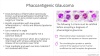 Lecture: Phacoantigenic Glaucoma (1 Slide in 5 Minutes) | Cybersight