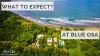 Blue Osa Yoga Beachfront Resort || Costa Rica Yoga Retreat