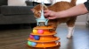 CATSTAGES Infinity Ball Track Including One Light-Up Ball, Figure-8 ...