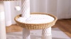 HITTITE Modern Indoor 46-in Rattan Cat Tree Tower with Scratching Post ...