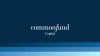 Private Equity Solutions | Asset Management | Commonfund